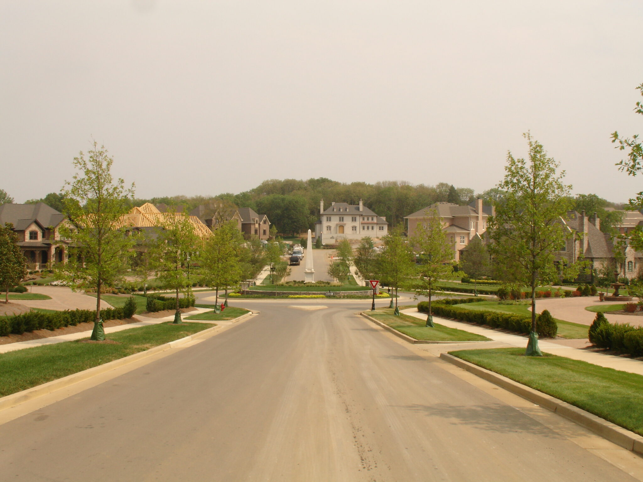 Highpoint® Nuttall Oak - Select Trees