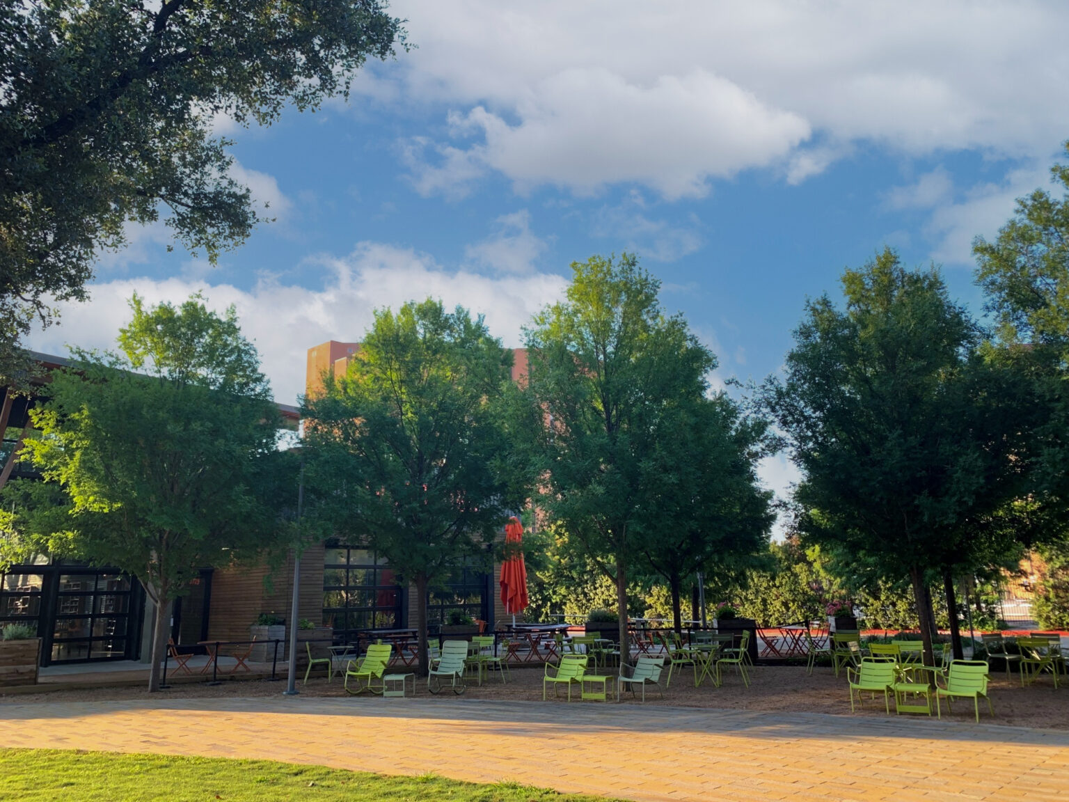 Allee® Lacebark Elm - Select Trees