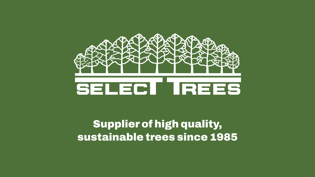Home - Select Trees