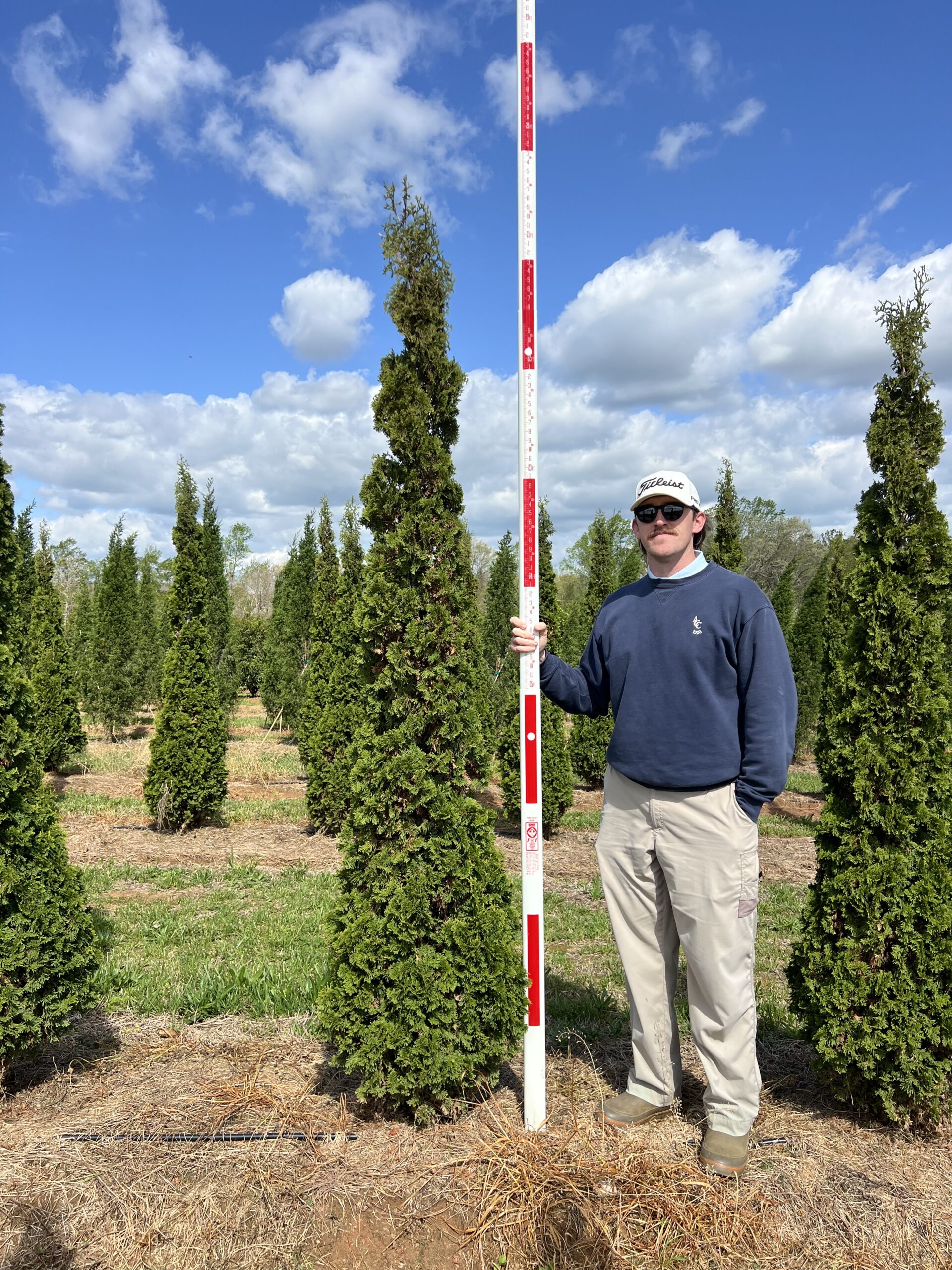 DeGroot Spire Arborvitae - Select Trees
